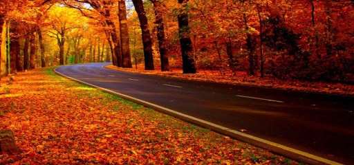 North of Iran (Shomal)